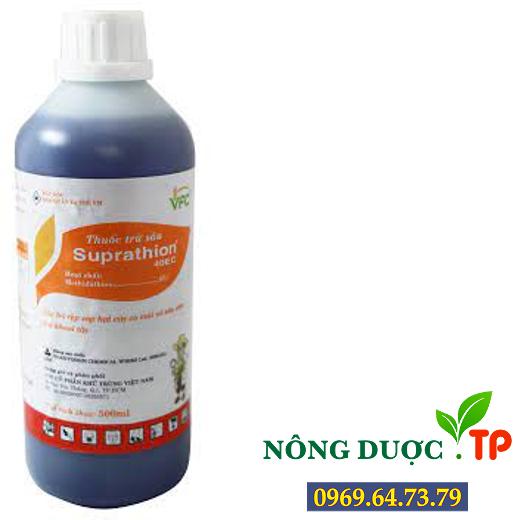 SUPRATHION 40EC - THUỐC ĐẶC TRỊ CÁC LOẠI RỆP GÂY HẠI CÂY HOA MAI - Kỹ ...