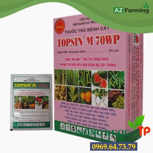 TOPSIN M 70WP - THUỐC ĐẶC TRỊ BỆNH MỐC XÁM, ĐỐM LÁ, SƯƠNG MAI TRÊN CÂY ...