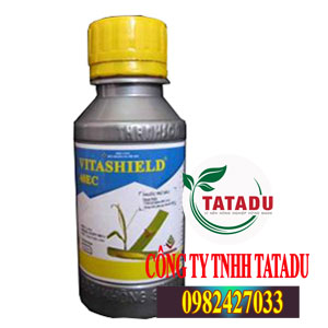 VITASHIELD 40EC - THUỐC ĐẶC TRỊ SÂU VẼ BÙA VÀ RỆP SÁP TRÊN CÂY HOA MAI ...