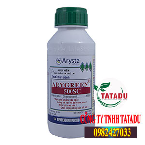 ARYGREEN 500SC - THUỐC TRỪ NẤM BỆNH CHO CÂY HOA MAI - Kỹ Thuật Trồng Mai