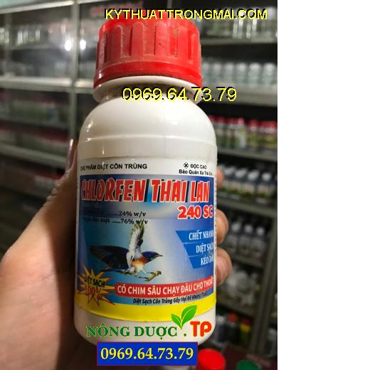 CHLORFERAN 240SC - Thuốc Diệt Côn Trùng Kháng Thuốc - Kỹ Thuật Trồng Mai