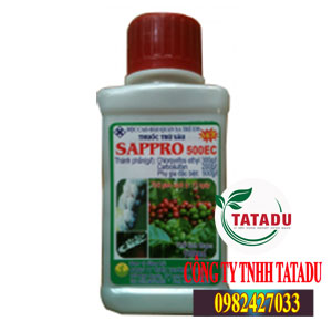 SAPPRO 500EC - ĐẶC TRỊ RỆP SÁP VÀ TUYẾT TRÙNG CHO CÂY HOA MAI - Kỹ ...