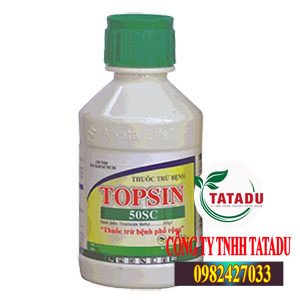 TOPSIN 50SC - THUỐC ĐẶC TRỊ BỆNH VÀNG LÁ, KHÔ VẰN TRÊN CÂY HOA MAI - Kỹ ...