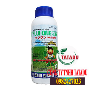 FUJIONE 40EC - THUỐC ĐẶC TRỊ NẤM BỆNH CHO CÂY HOA MAI - Kỹ Thuật Trồng Mai