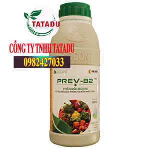 PREV-B2 (BORON) - PHÂN BÓN LÁ CAO CẤP CHO CÂY HOA MAI - Kỹ Thuật Trồng Mai