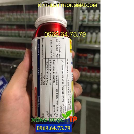 AMICOL 360EC-Thuốc Đặc Trị Bệnh Rỉ Sắt, Thán Thư, Lem Lép Hạt - Kỹ ...