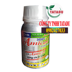 AMICOL 360EC - THUỐC ĐẶC TRỊ BỆNH KHÔ VẰN, RỈ SẮT, THỐI TRÁI TRÊN CÂY ...