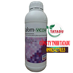 KAFOM - HẠN CHẾ TỐI ĐA HIỆN TƯỢNG VÀNG LÁ TRÊN CÂY HOA MAI - Kỹ Thuật ...