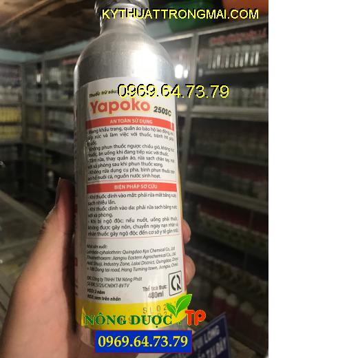 YAPOKO 250SC-Đặc Trị Bọ Trĩ, Sâu Cuốn Lá, Sâu Đục Thân, Dòi Đục Lá - Kỹ ...
