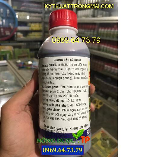 ANTACO 500EC - Thuốc Trừ Cỏ Diệt Mầm Trên Cây Mía, Hành, Ngô, Lạc - Kỹ ...
