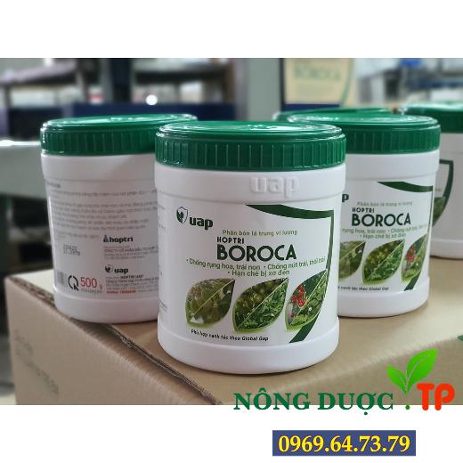 HỢP TRÍ BOROCA - PHÂN BÓN LÁ TRUNG VI LƯỢNG - Kỹ Thuật Trồng Mai