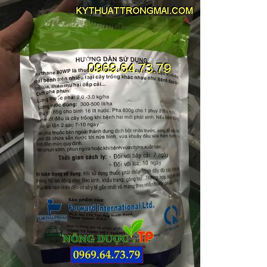 FORTHANE 80WP Thuốc Trừ Nấm Bệnh-Đặc Trị Bệnh Đạo Ôn, Thán Thư - Kỹ ...