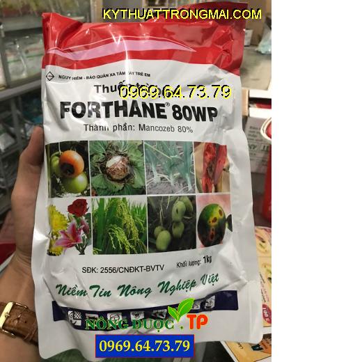 FORTHANE 80WP Thuốc Trừ Nấm Bệnh-Đặc Trị Bệnh Đạo Ôn, Thán Thư - Kỹ ...
