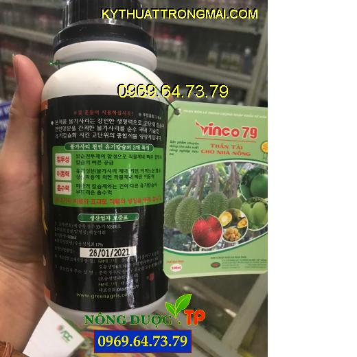 VINCO 79- Kích ra Hoa, Tăng Khả Năng Đậu Trái, Chống Rụng Trái - Kỹ ...