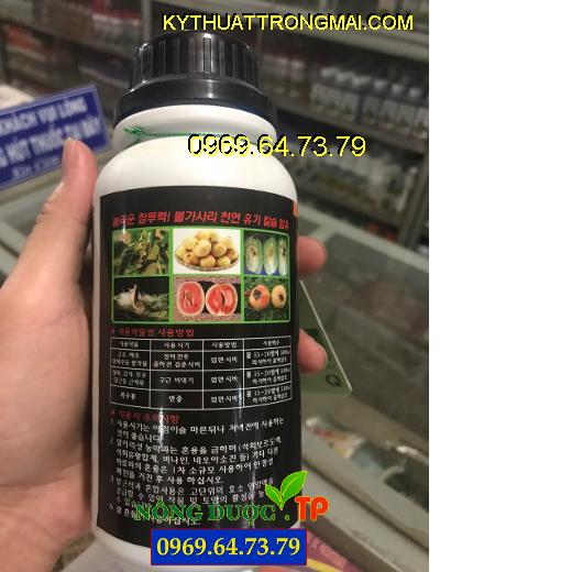 VINCO 79- Kích ra Hoa, Tăng Khả Năng Đậu Trái, Chống Rụng Trái - Kỹ ...