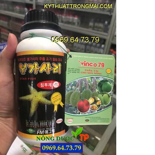 VINCO 79- Kích ra Hoa, Tăng Khả Năng Đậu Trái, Chống Rụng Trái - Kỹ ...