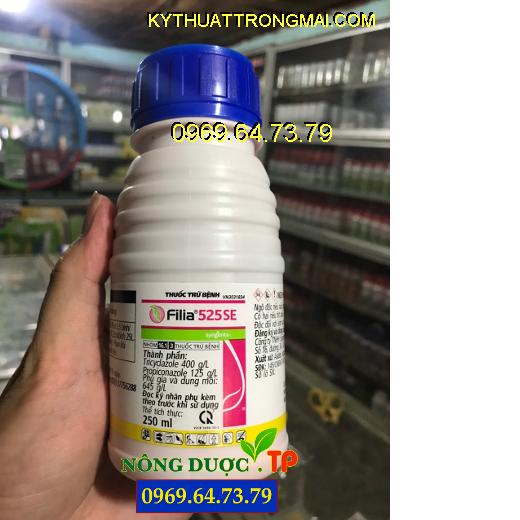 DUPONT ZORVEC ENCANTIA 330SE-Đặc Trị Nấm Và Sương Mai - Kỹ Thuật Trồng Mai