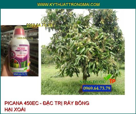 PICANA 450EC THUỐC TRỪ SÂU-Đặc TRị Nhiều Loại Sâu Rầy Hại Cây Trồng ...