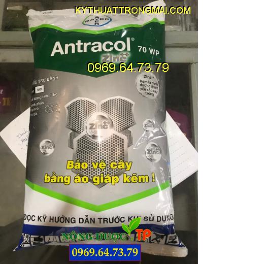 NOFACOL 70WP ADINACOL 700 ZINC PLUS-Thuốc Trừ Nấm Bệnh - Kỹ Thuật Trồng Mai