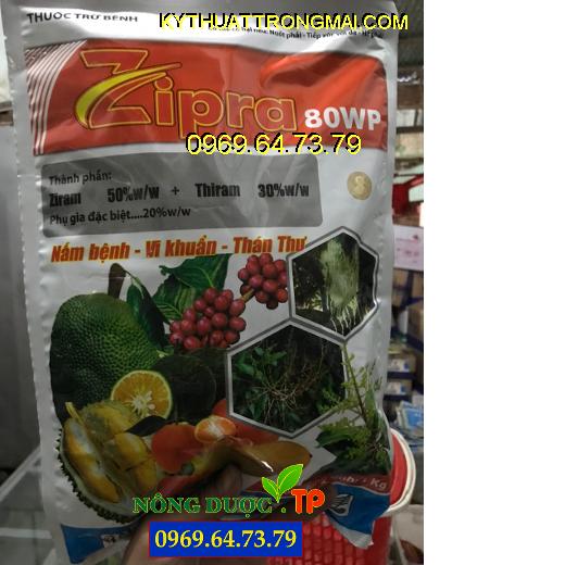 ZIPRA 80WP THUỐC TRỪ BỆNH-Đặc Trị Vi Khuẩn, Thán Thư, Nấm Bệnh - Kỹ ...