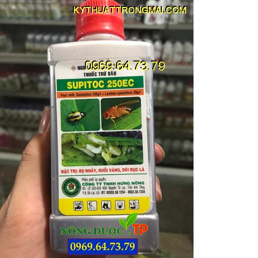 SUPITOC 250EC THUỐC TRỪ SÂU-Đặc Trị Dòi Đục Lá, Bọ Nhảy, Ruồi Vàng - Kỹ ...